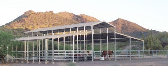 Open Horse Barn